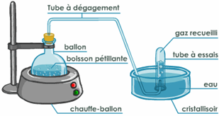 Activité expérimentale : analyse d'une boisson gazeuse